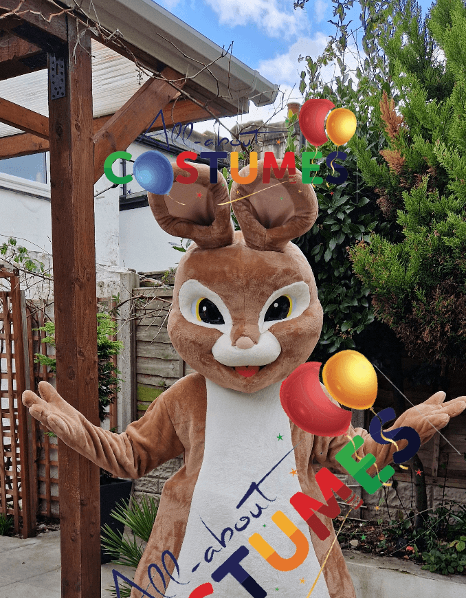 Peter Rabbit costumes (All About Costumes)