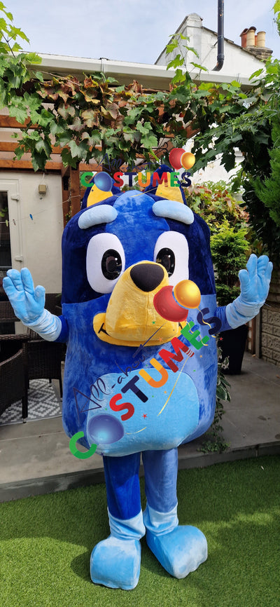 Bluey C costumes (All About Costumes)