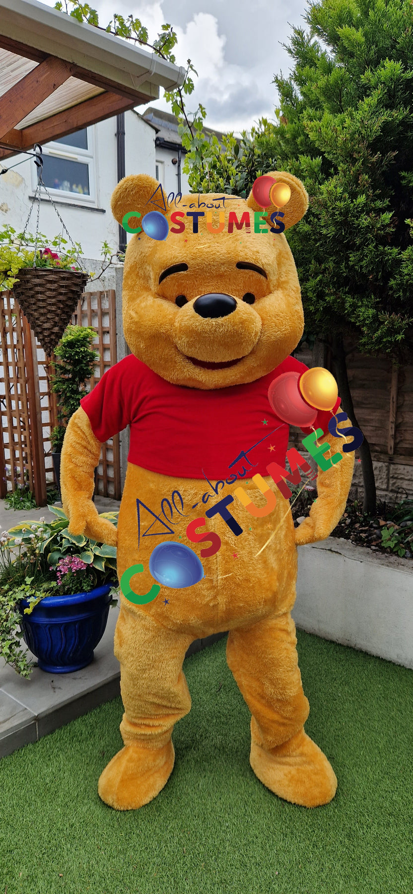Winnie the Pooh Bear costumes (All About Costumes)