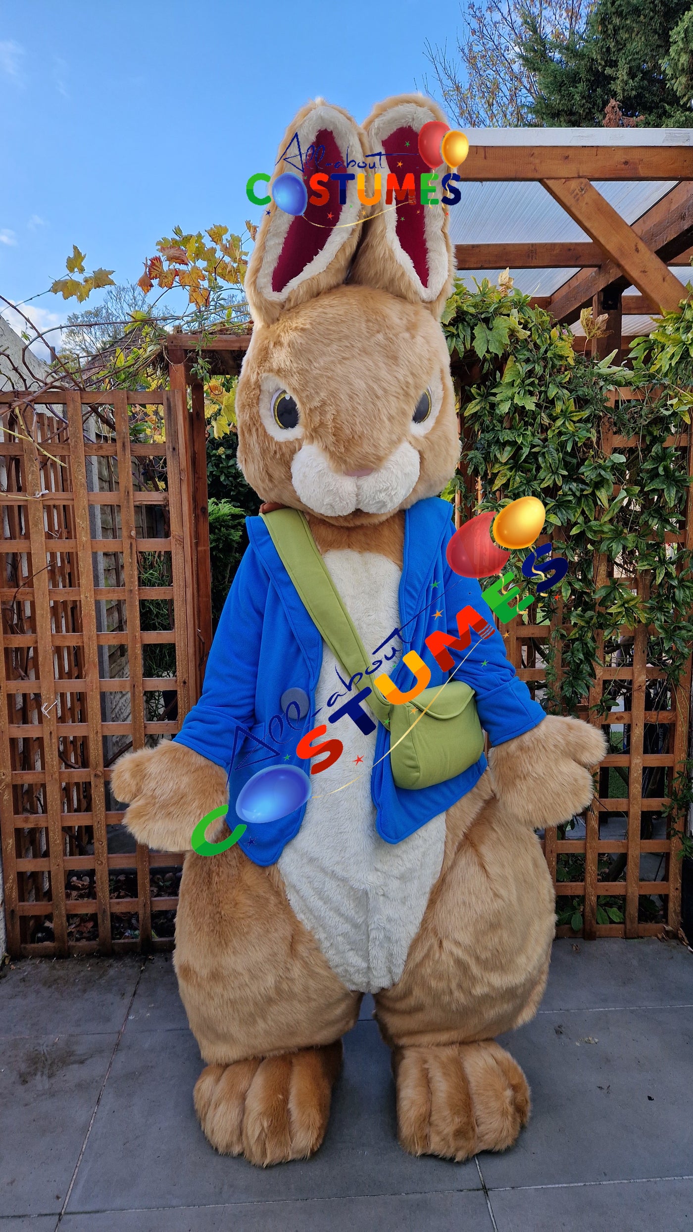 Peter Rabbit costumes (All About Costumes)