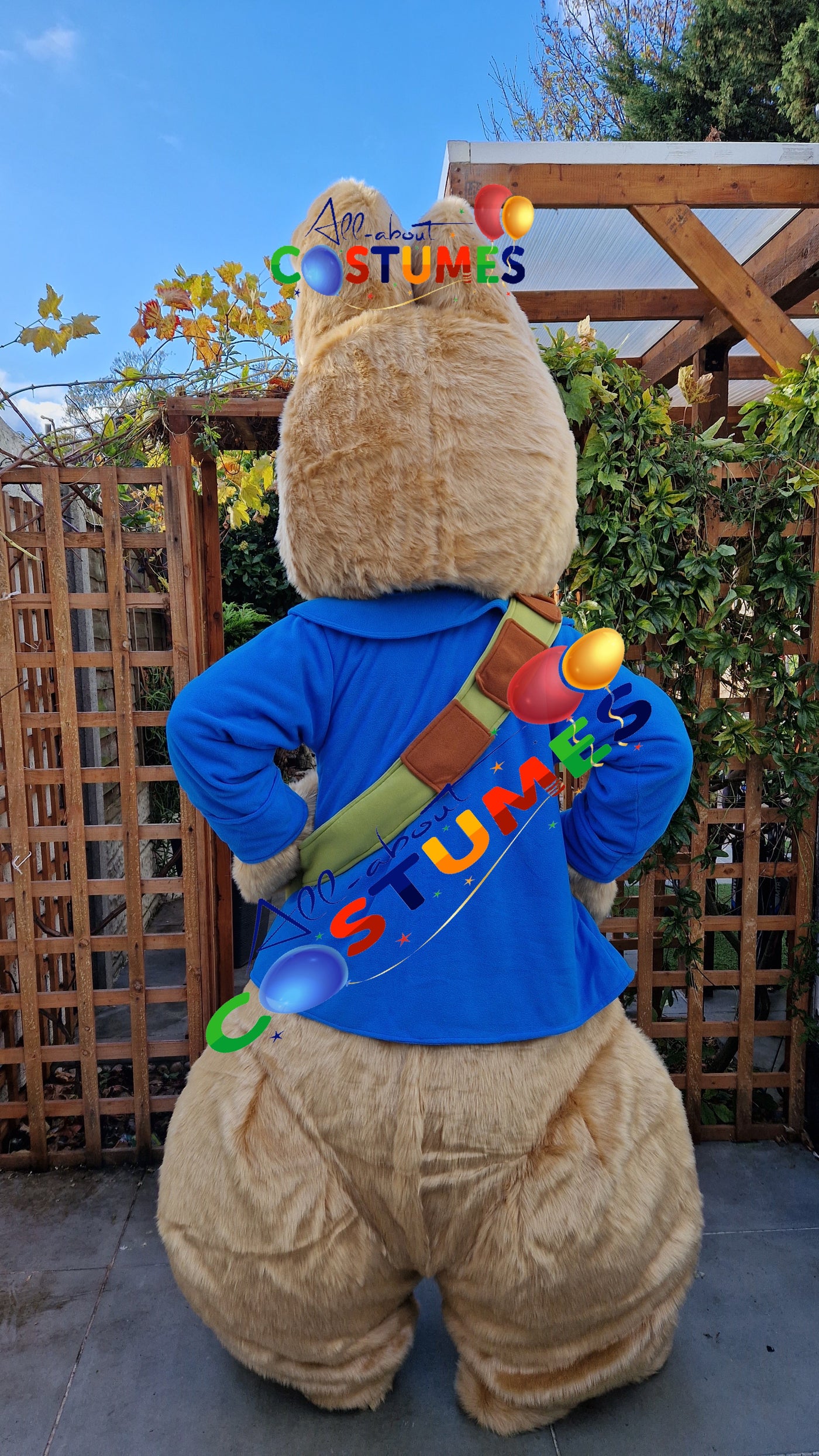 Peter Rabbit costumes (All About Costumes)