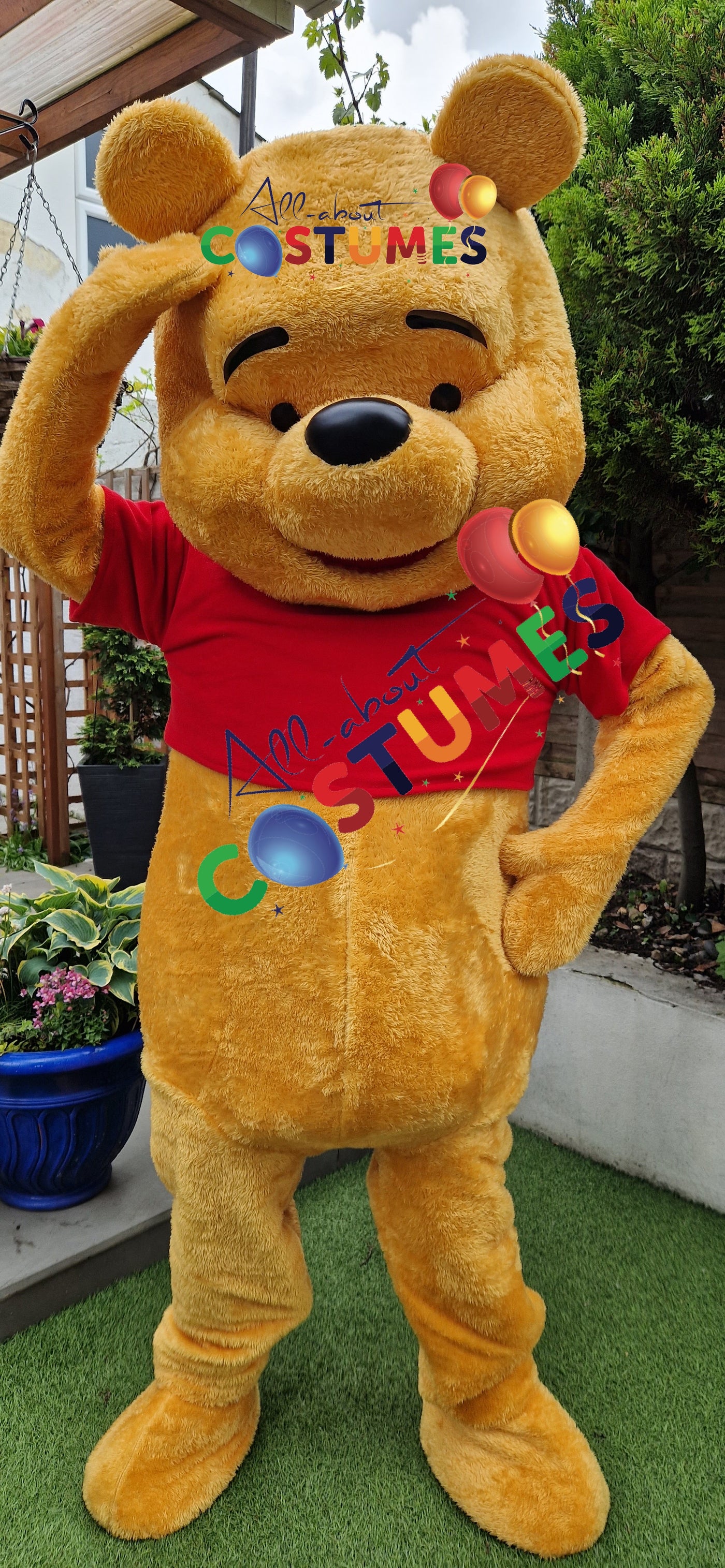 Winnie the Pooh Bear costumes (All About Costumes)