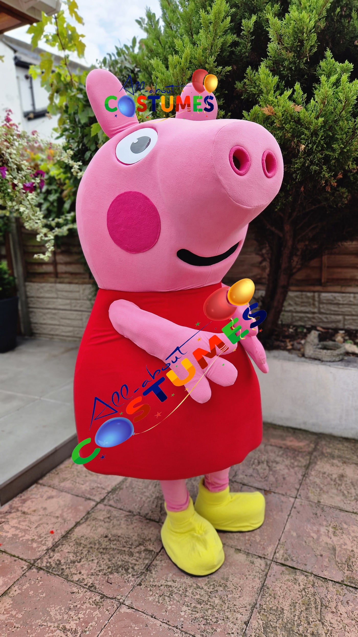 Peppa Pig A costumes (All About Costumes)