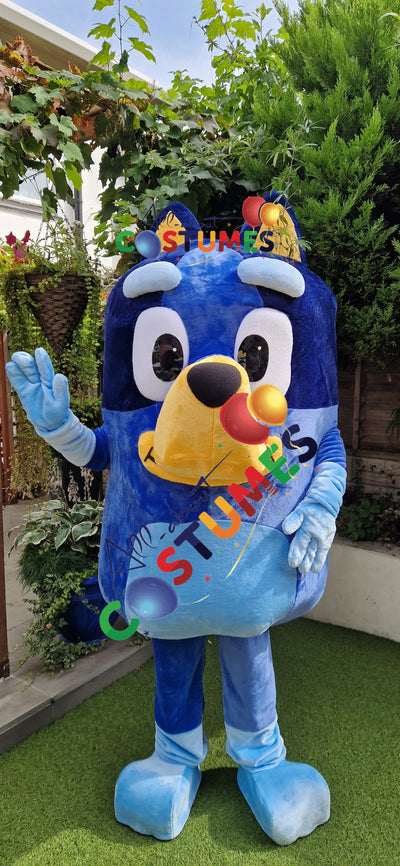 Bluey C costumes (All About Costumes)