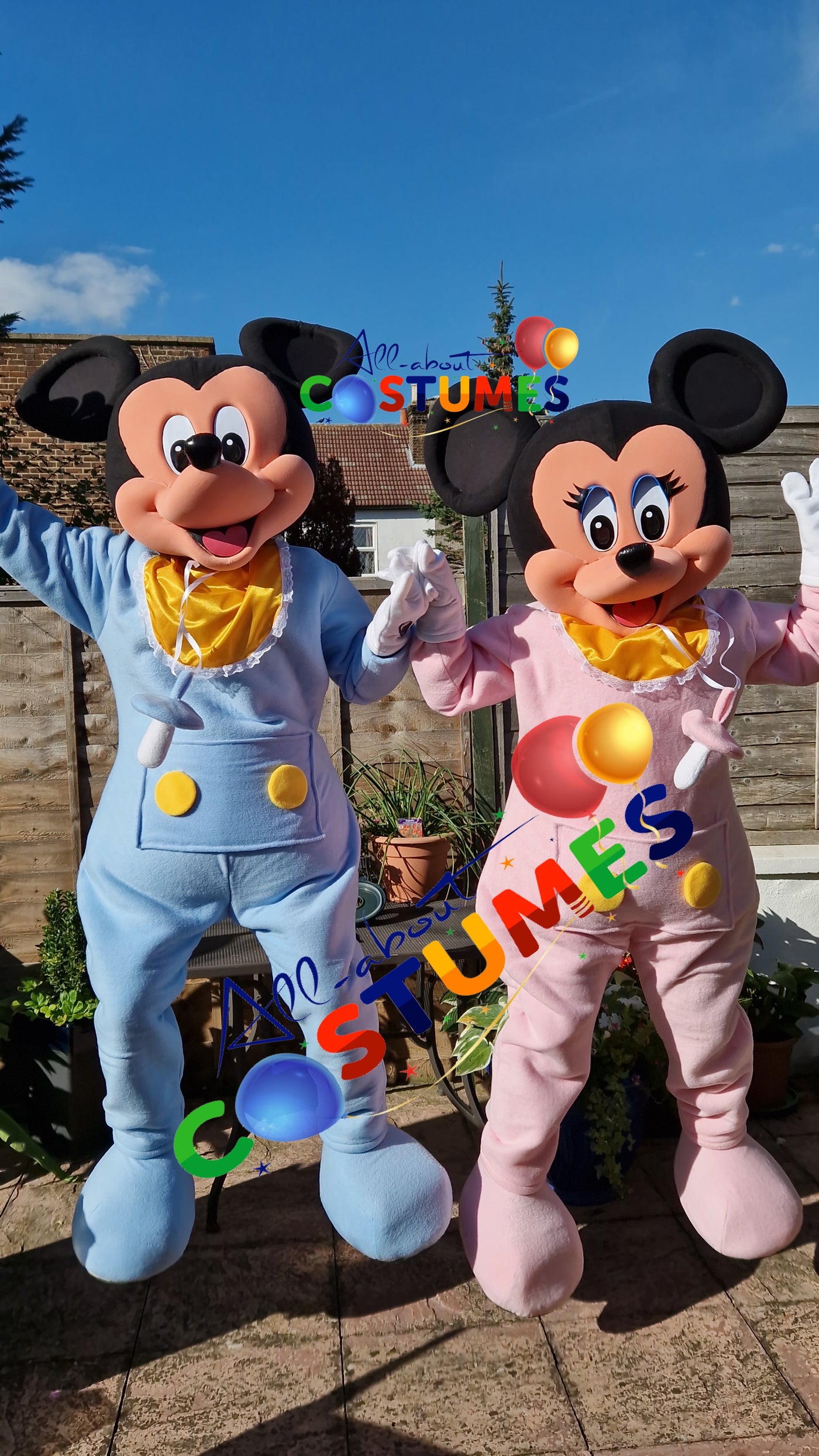 SAB Mickey & Minnie GENDER REVEAL – All About Costumes