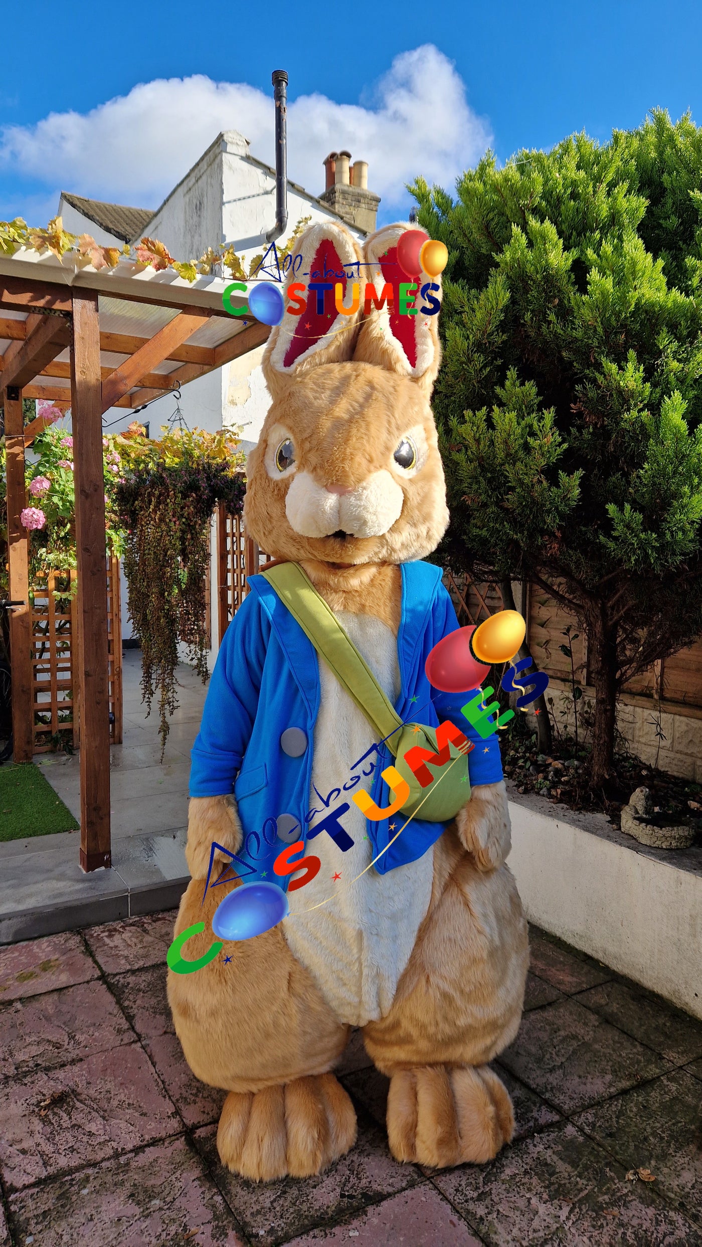 Peter Rabbit costumes (All About Costumes)