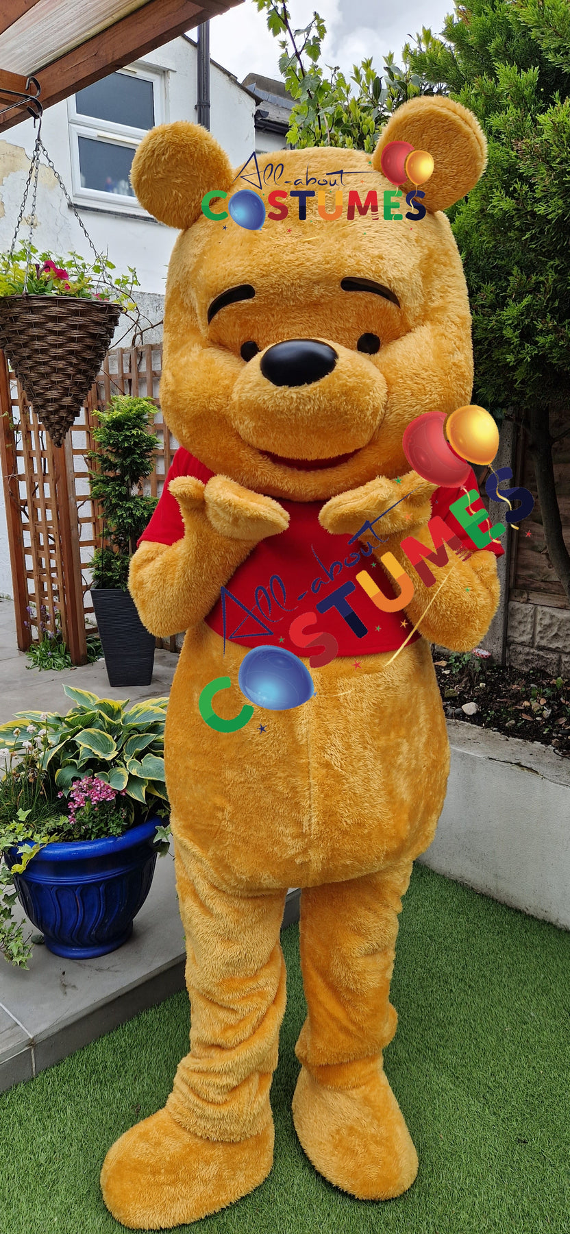Winnie the Pooh Bear costumes (All About Costumes)