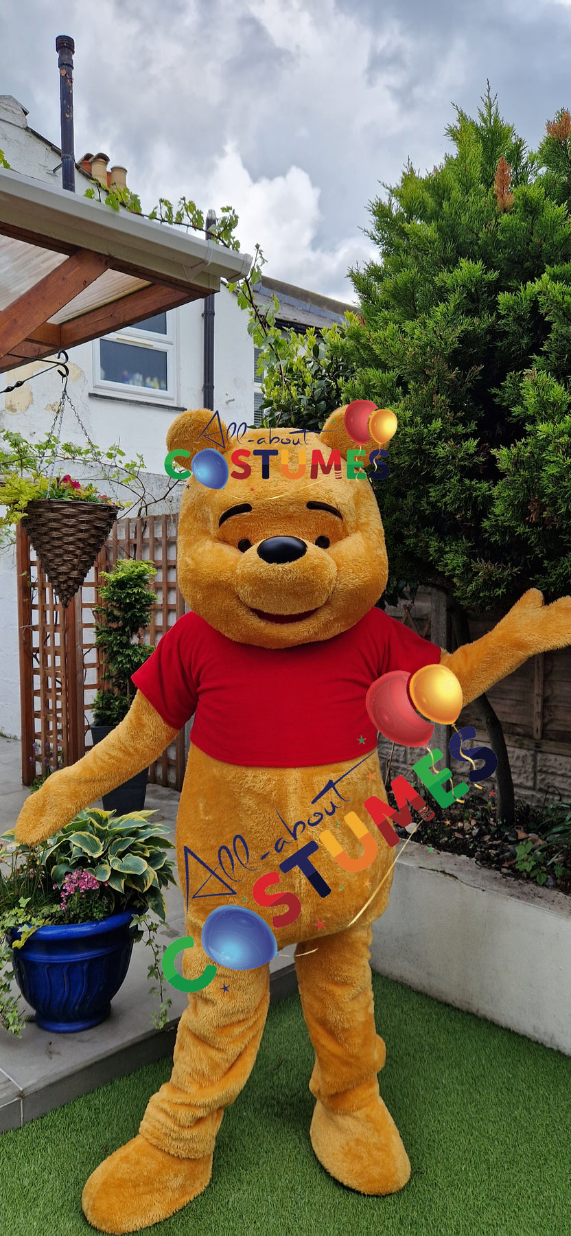 Winnie the Pooh Bear costumes (All About Costumes)