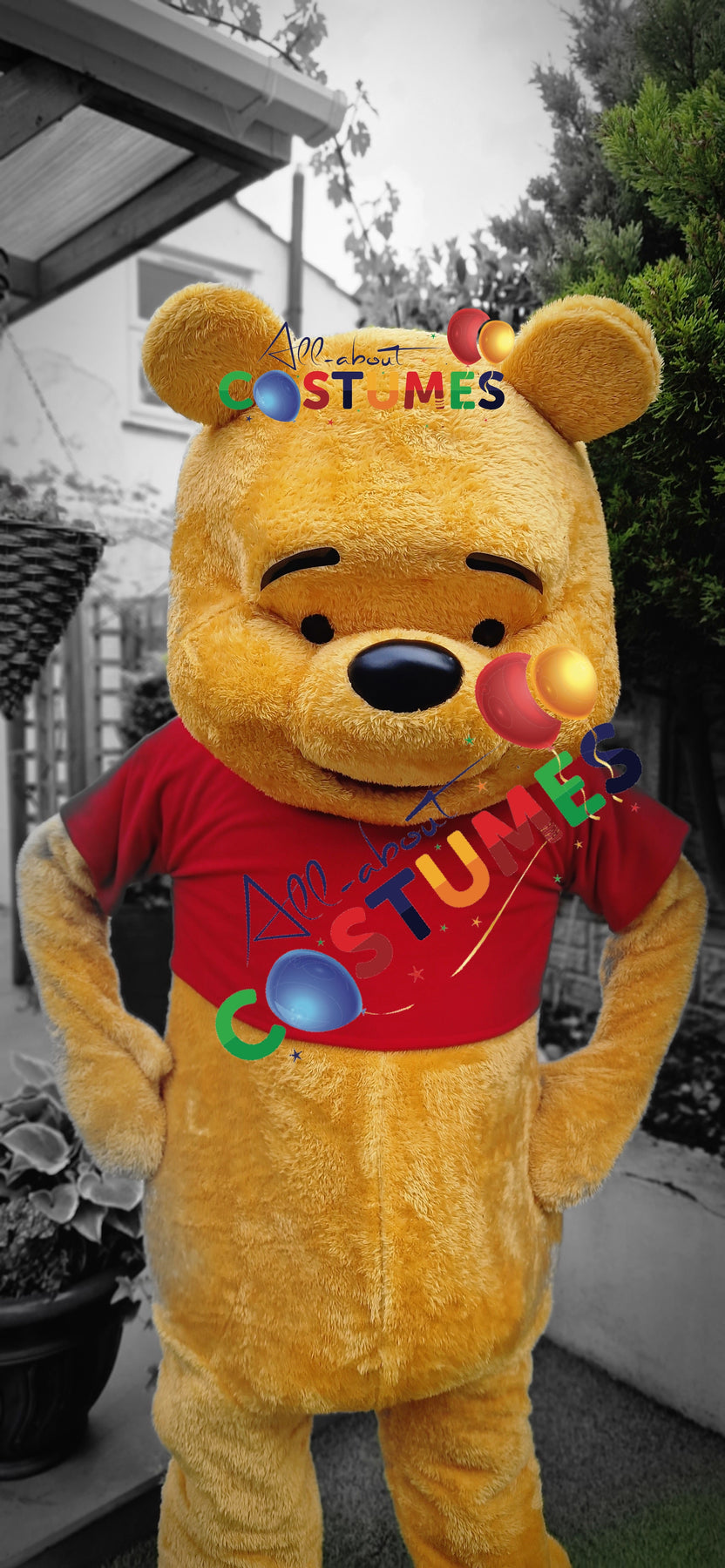 Winnie the Pooh Bear costumes (All About Costumes)