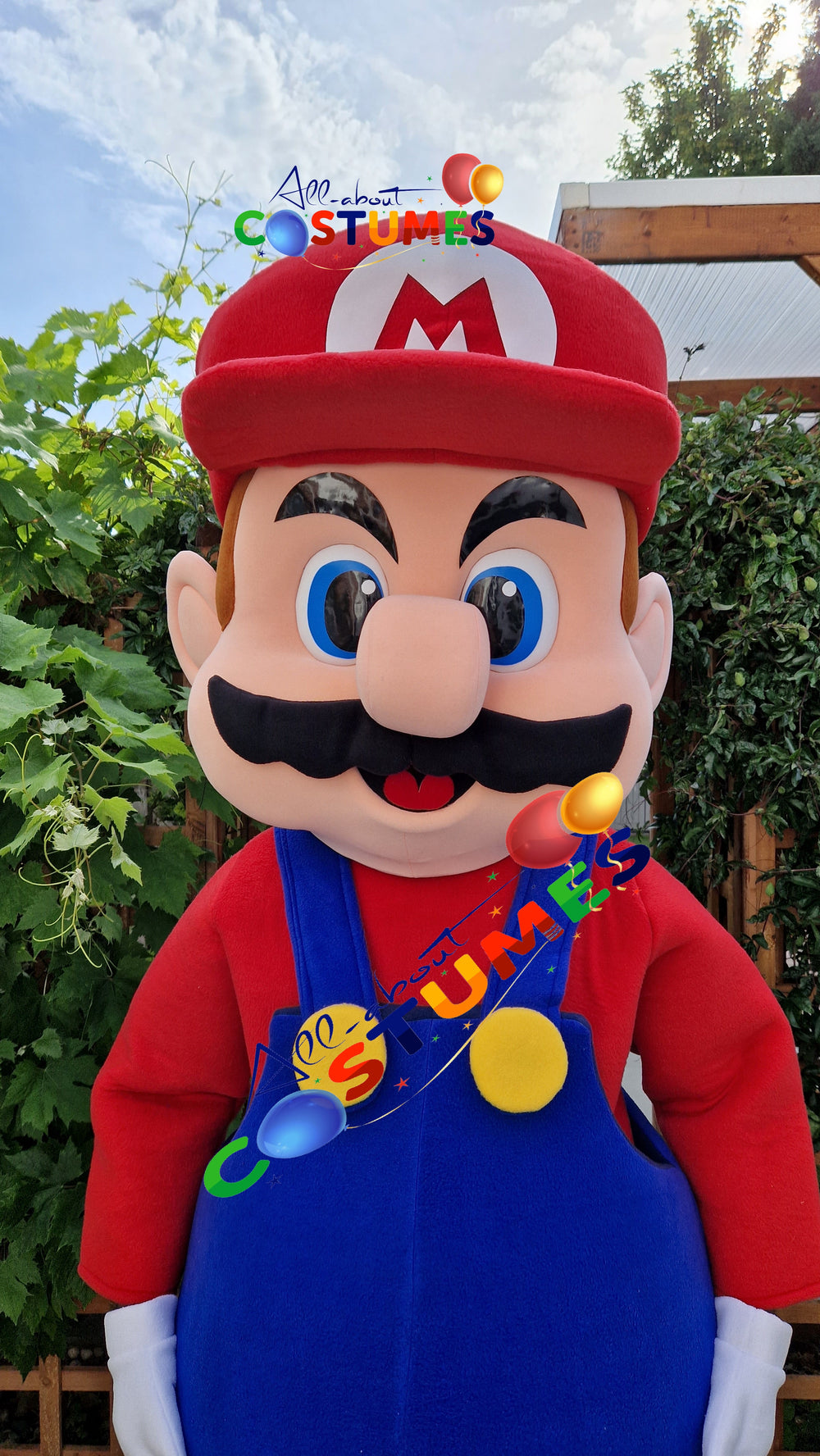 Super Mario Nintendo (All About Costumes)