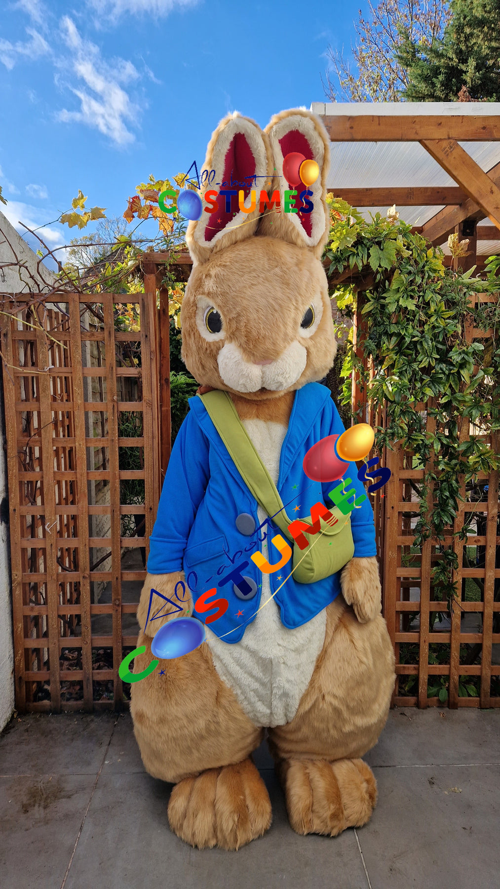 Peter Rabbit costumes (All About Costumes)