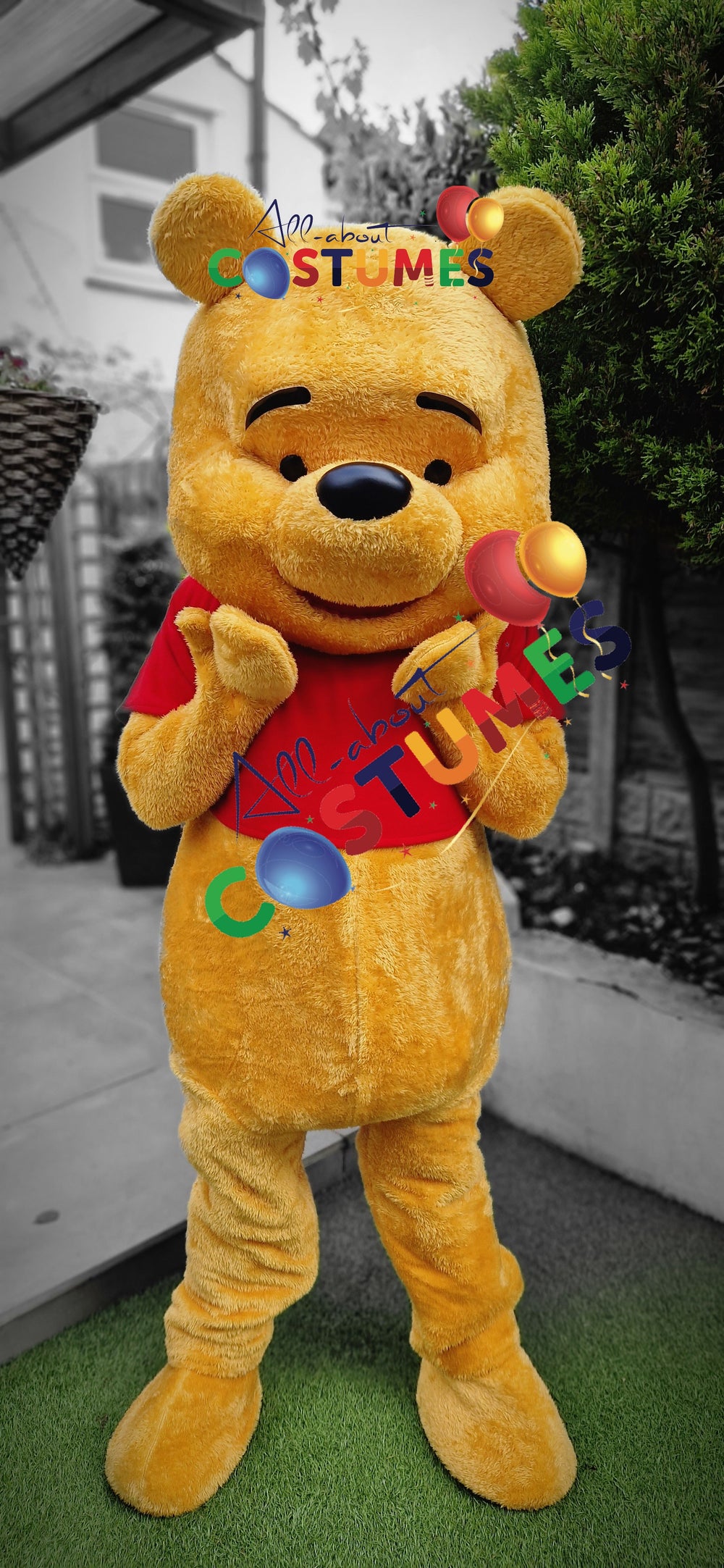 Winnie the Pooh Bear costumes (All About Costumes)
