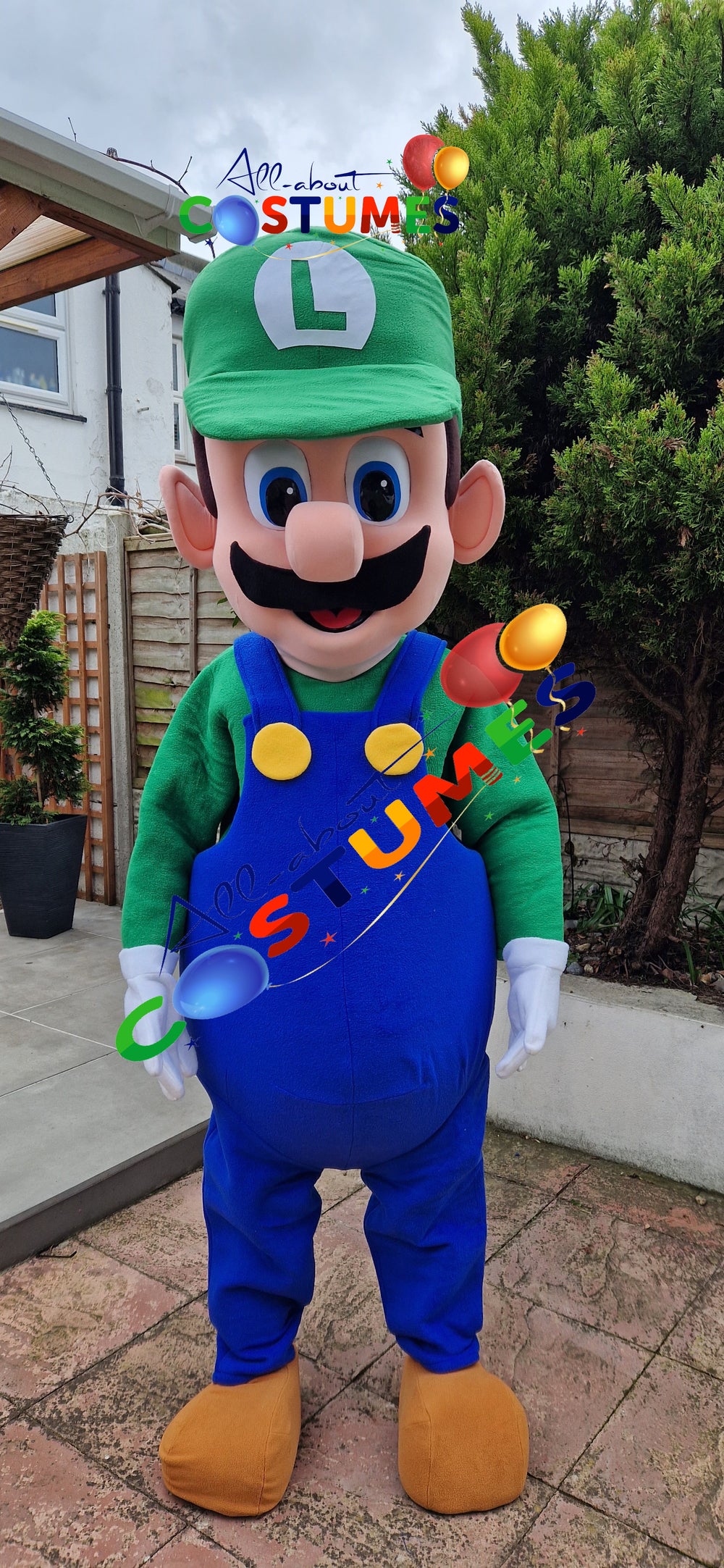 Luigi costumes (All About Costumes)