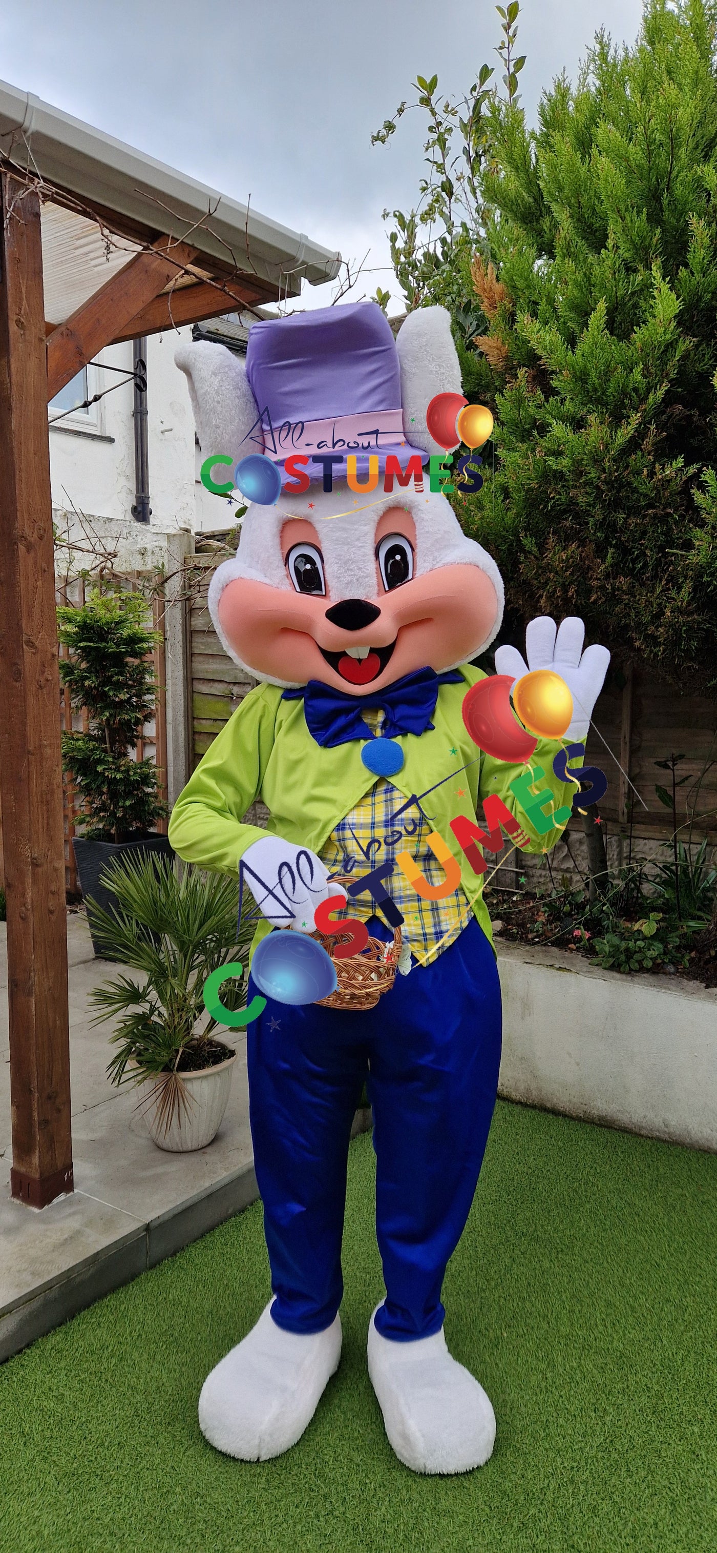 Peter Rabbit costumes (All About Costumes)