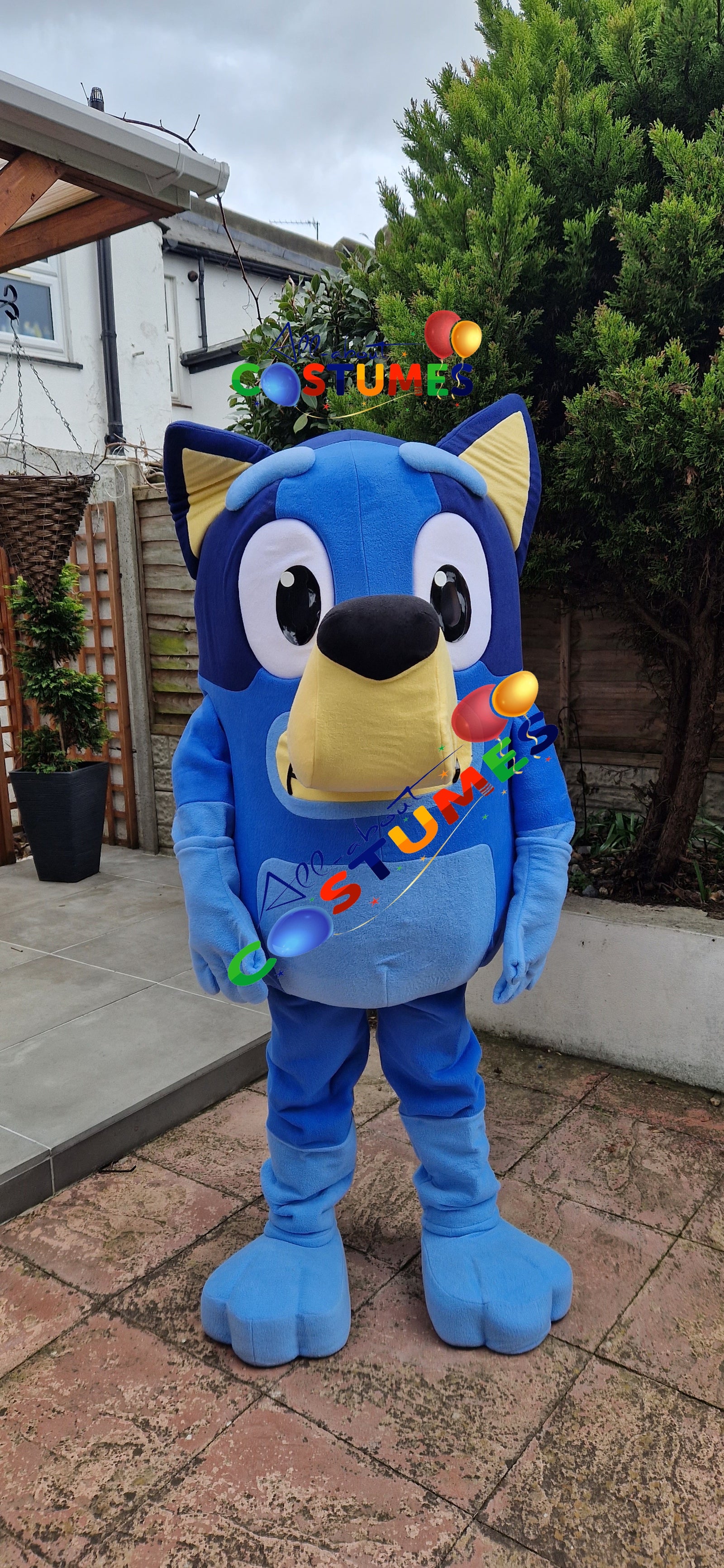 Bluey A costumes (All About Costumes)