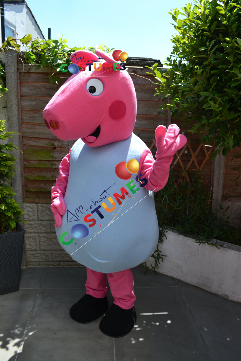 George Pig costumes (All About Costumes)