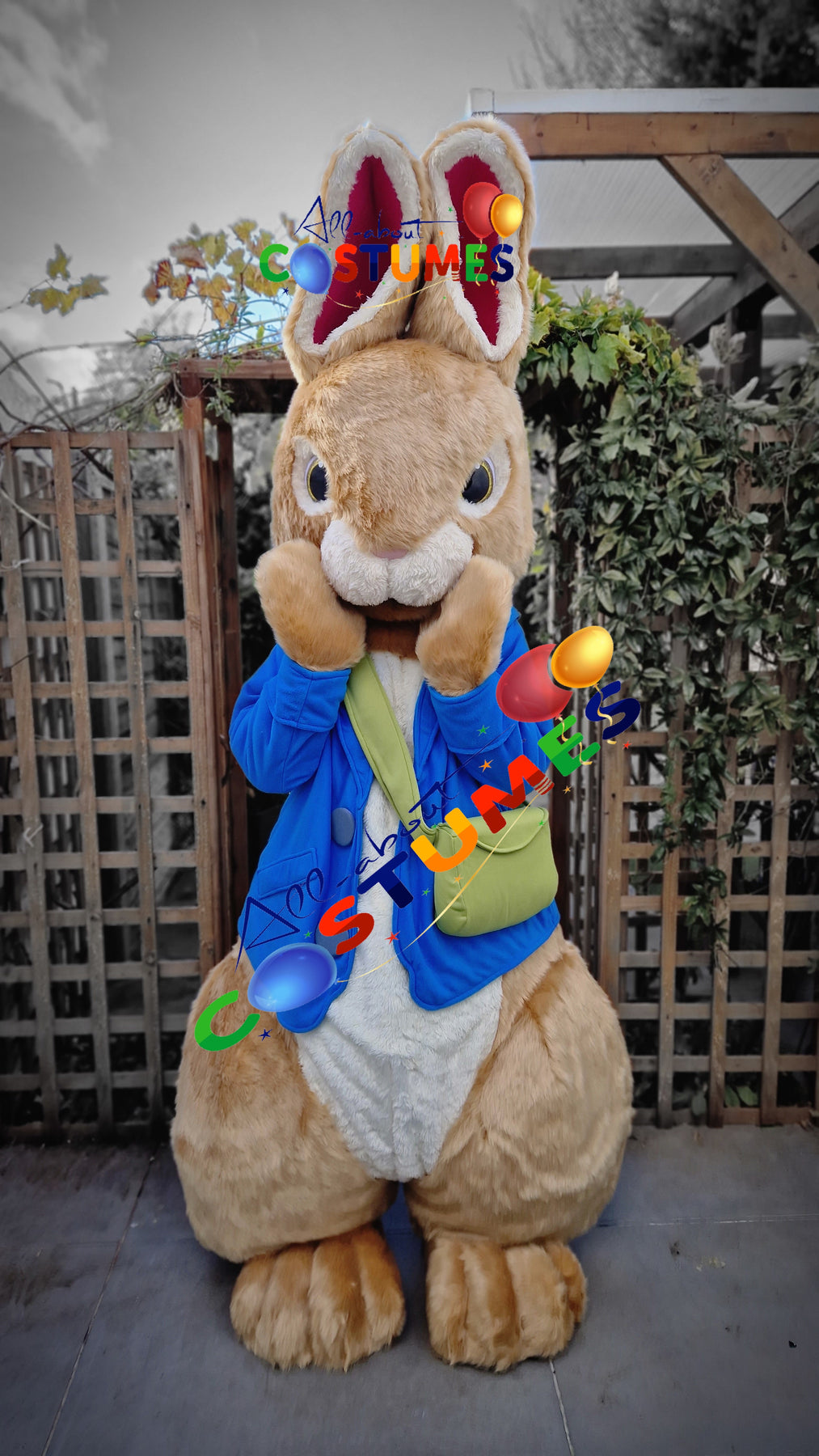 Peter Rabbit costumes (All About Costumes)