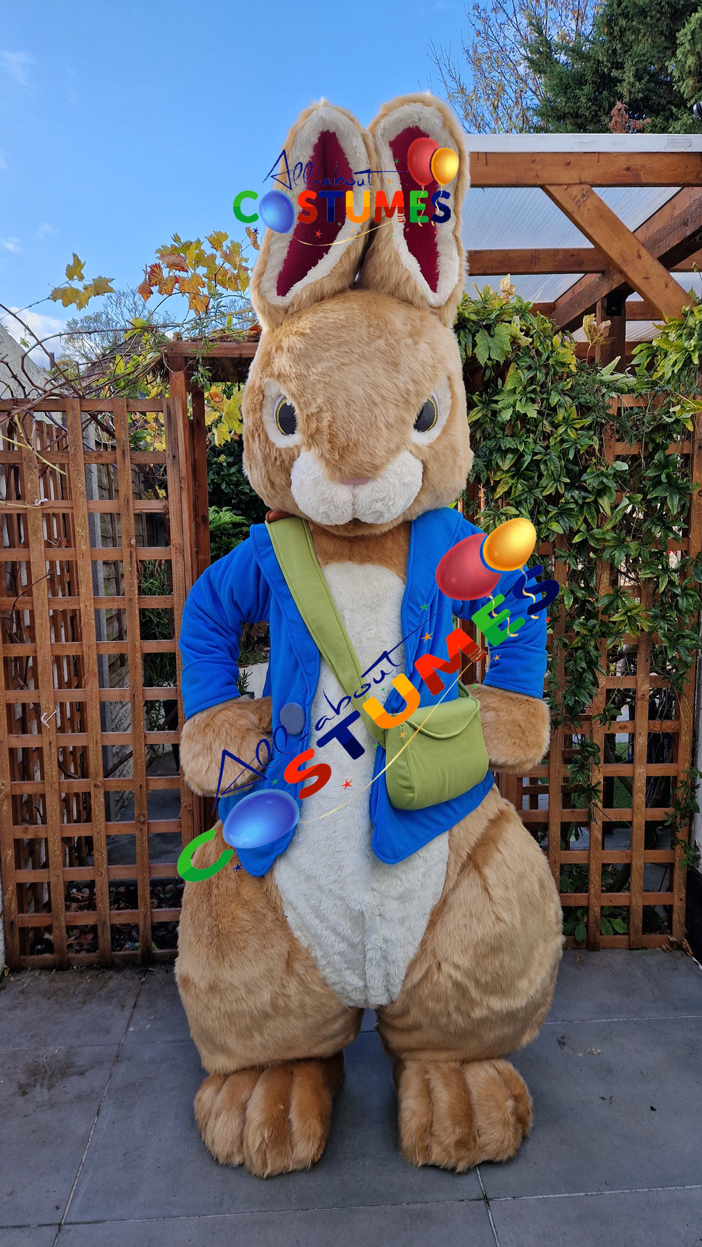 Peter Rabbit costumes (All About Costumes)