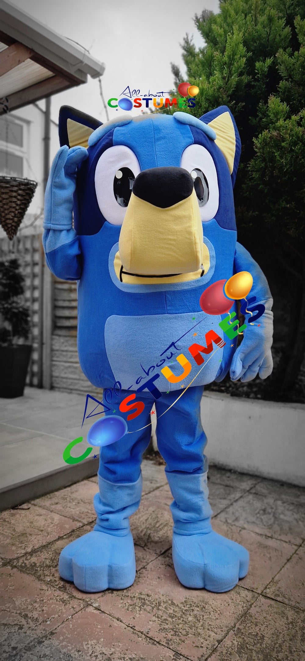 Bluey A costumes (All About Costumes)