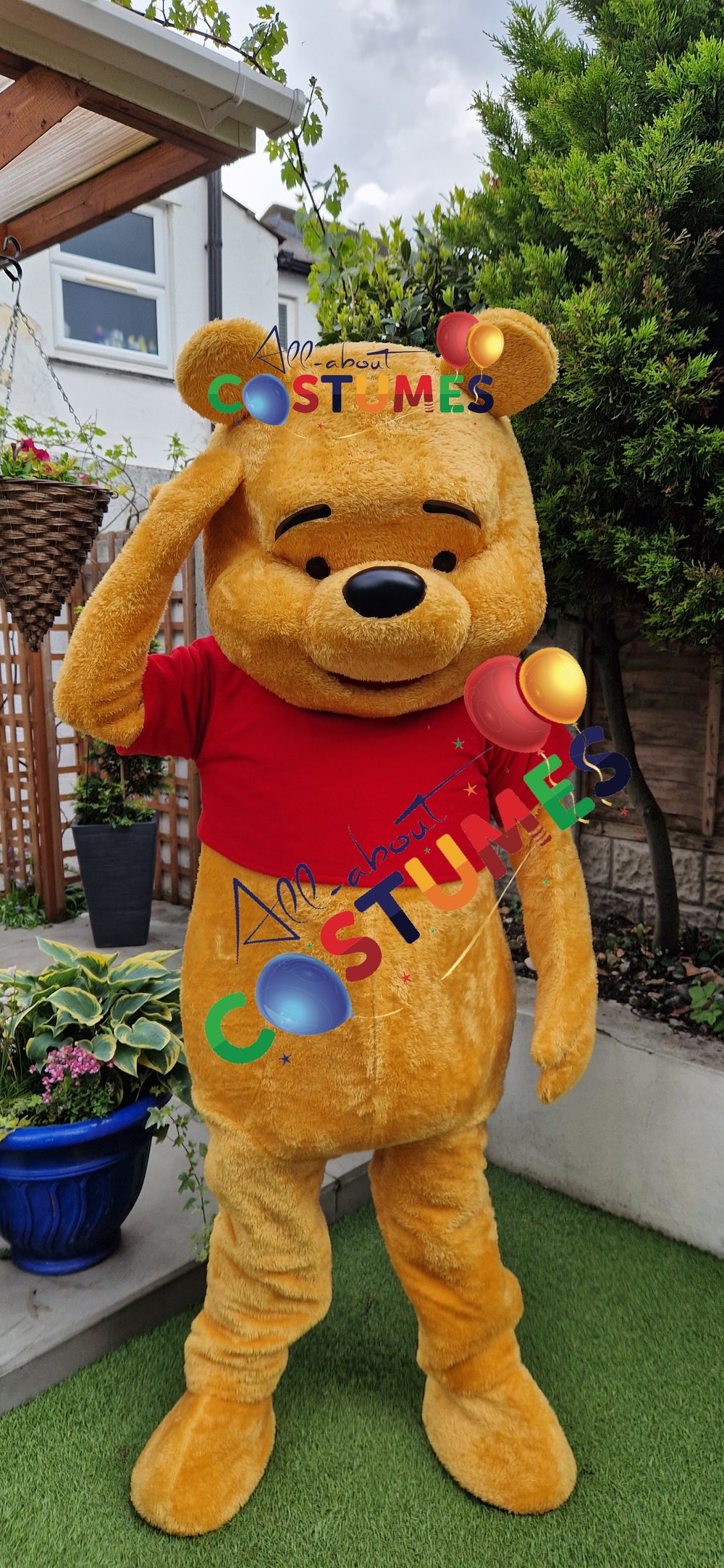 Winnie the Pooh Bear costumes (All About Costumes)
