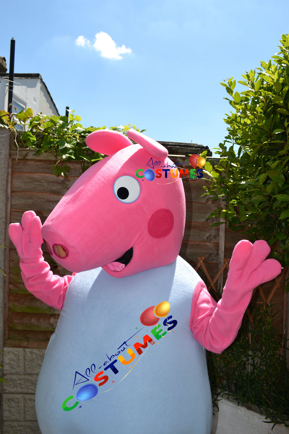George Pig costumes (All About Costumes)