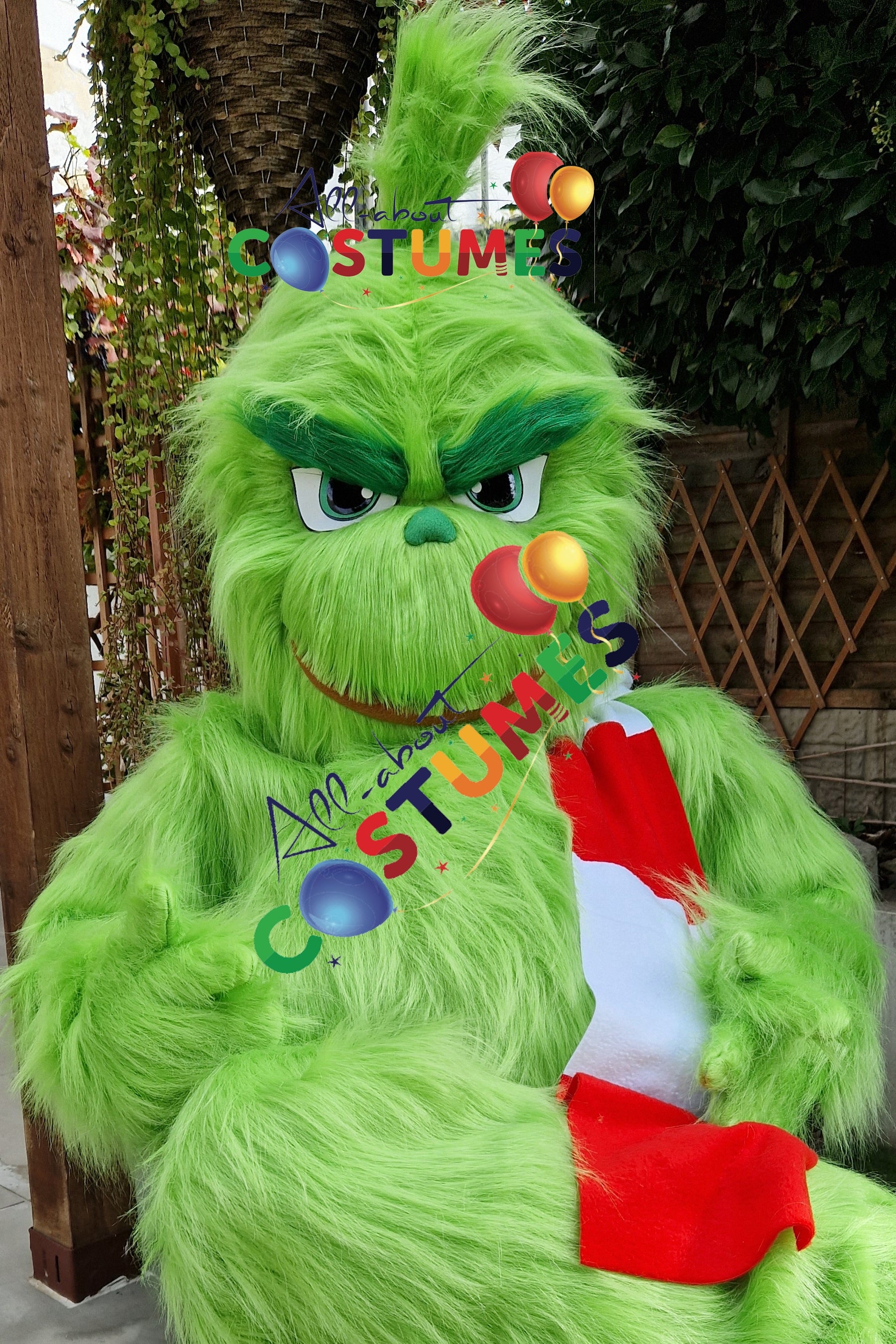 Grinch costumes (All About Costumes)
