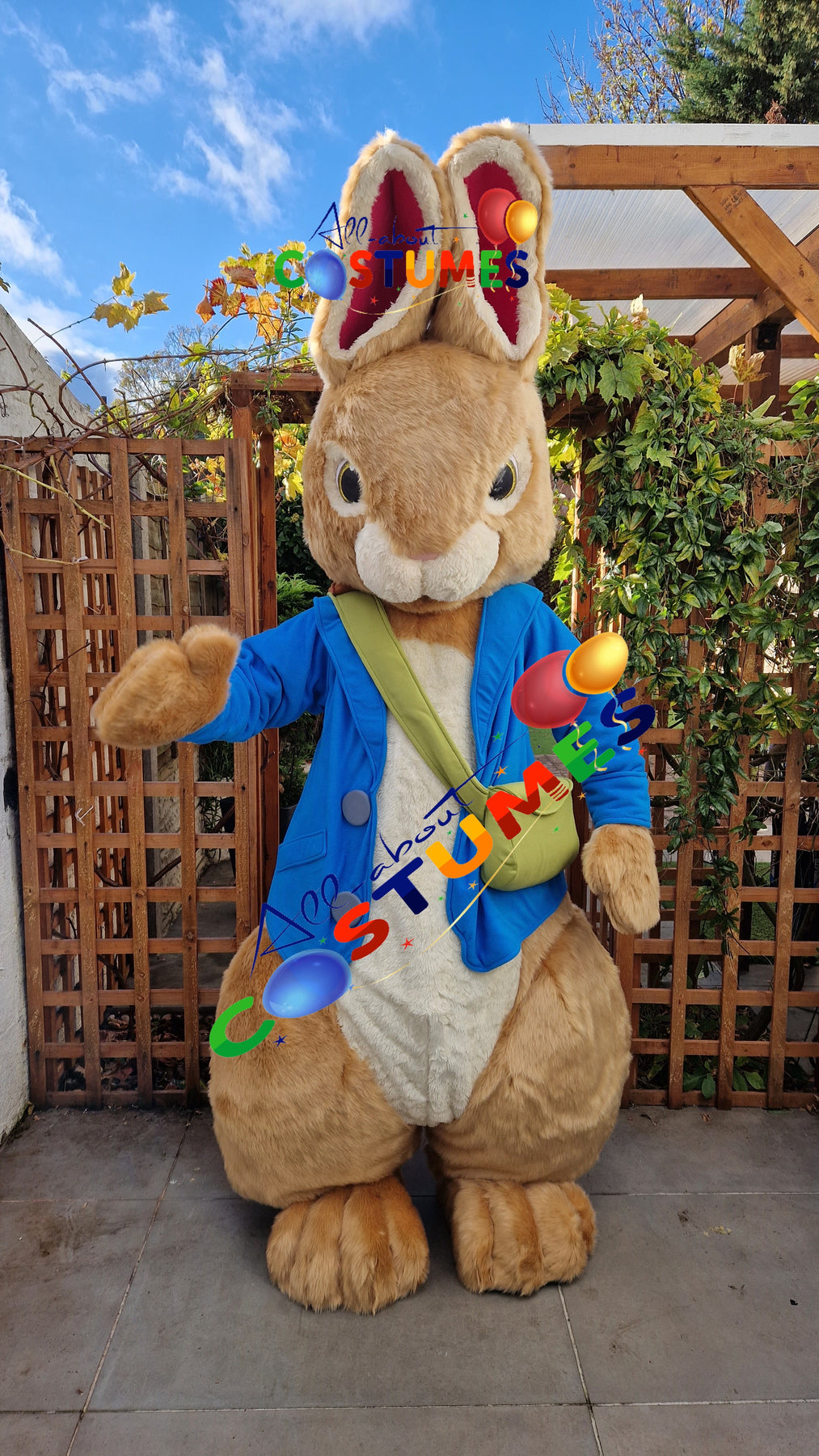 Peter Rabbit costumes (All About Costumes)