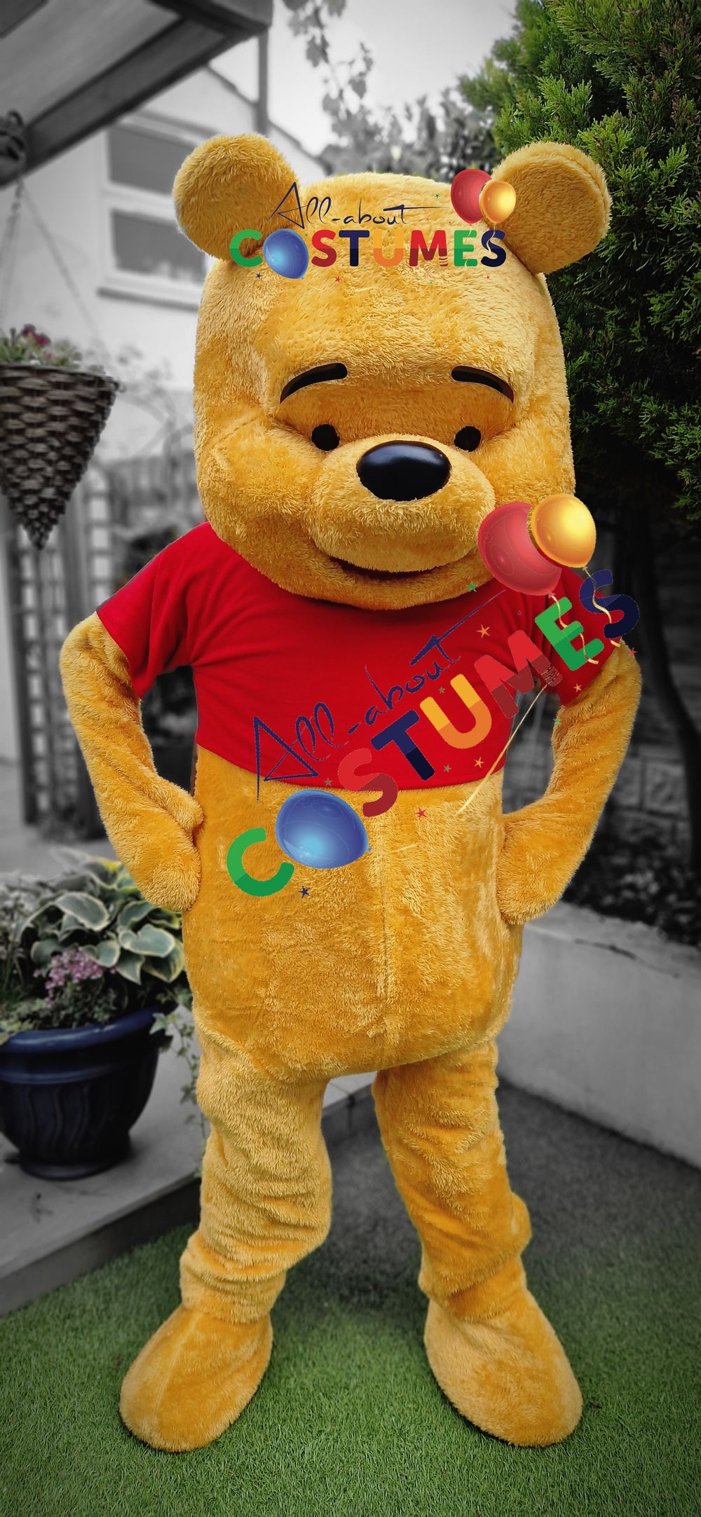 Winnie the Pooh Bear costumes (All About Costumes)