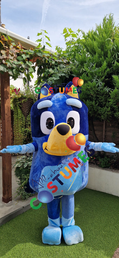 Bluey C costumes (All About Costumes)