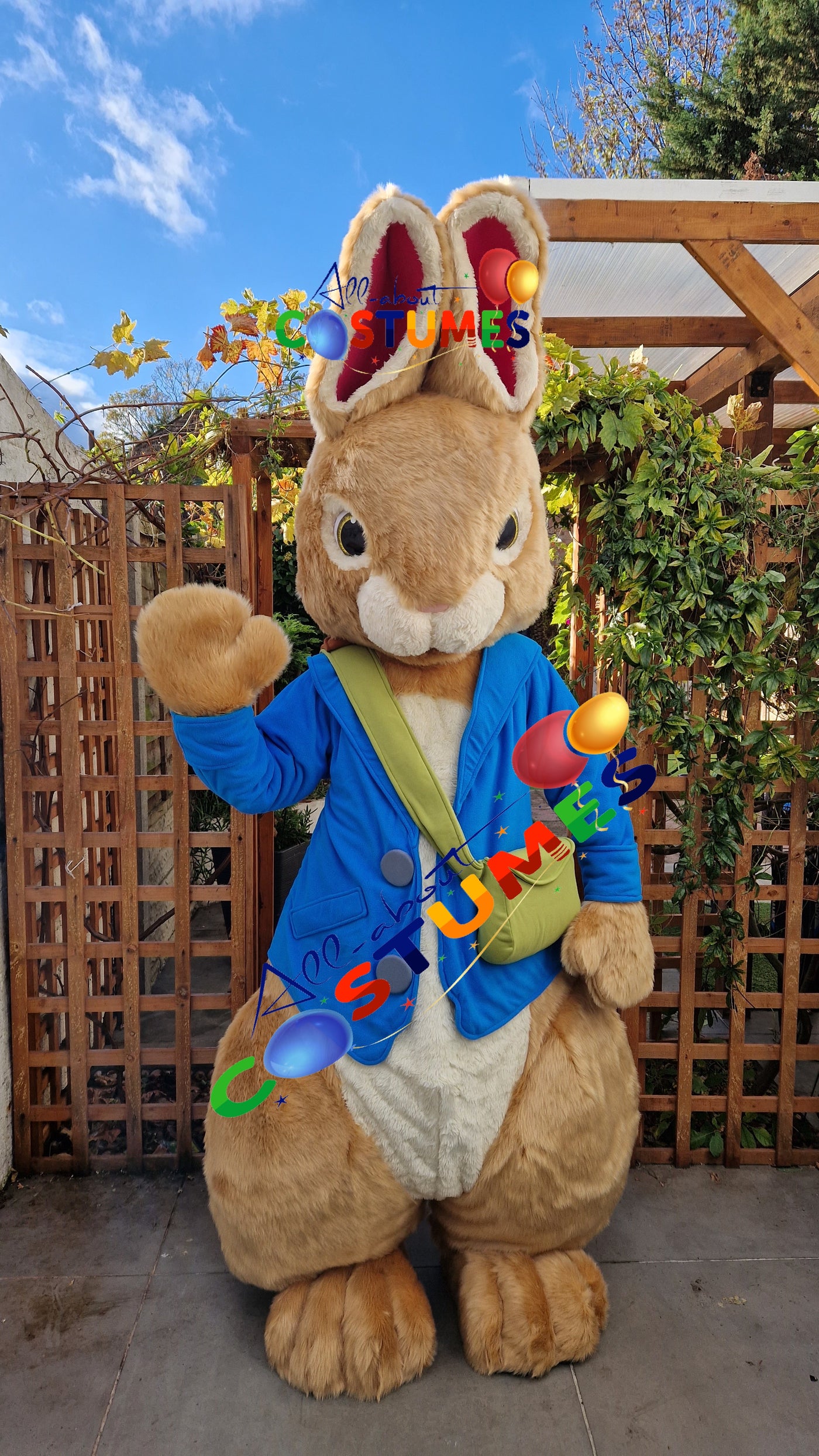 Peter Rabbit costumes (All About Costumes)