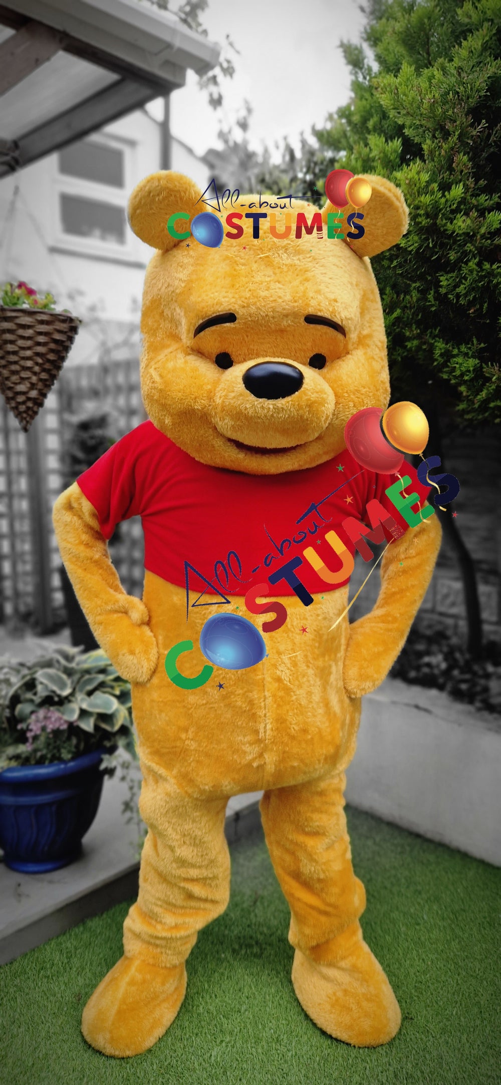 Winnie the Pooh Bear costumes (All About Costumes)