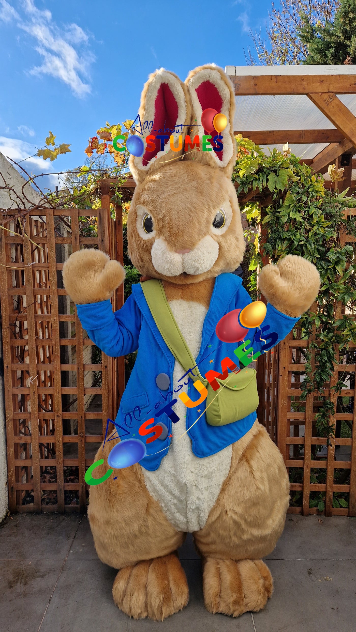 Peter Rabbit costumes (All About Costumes)