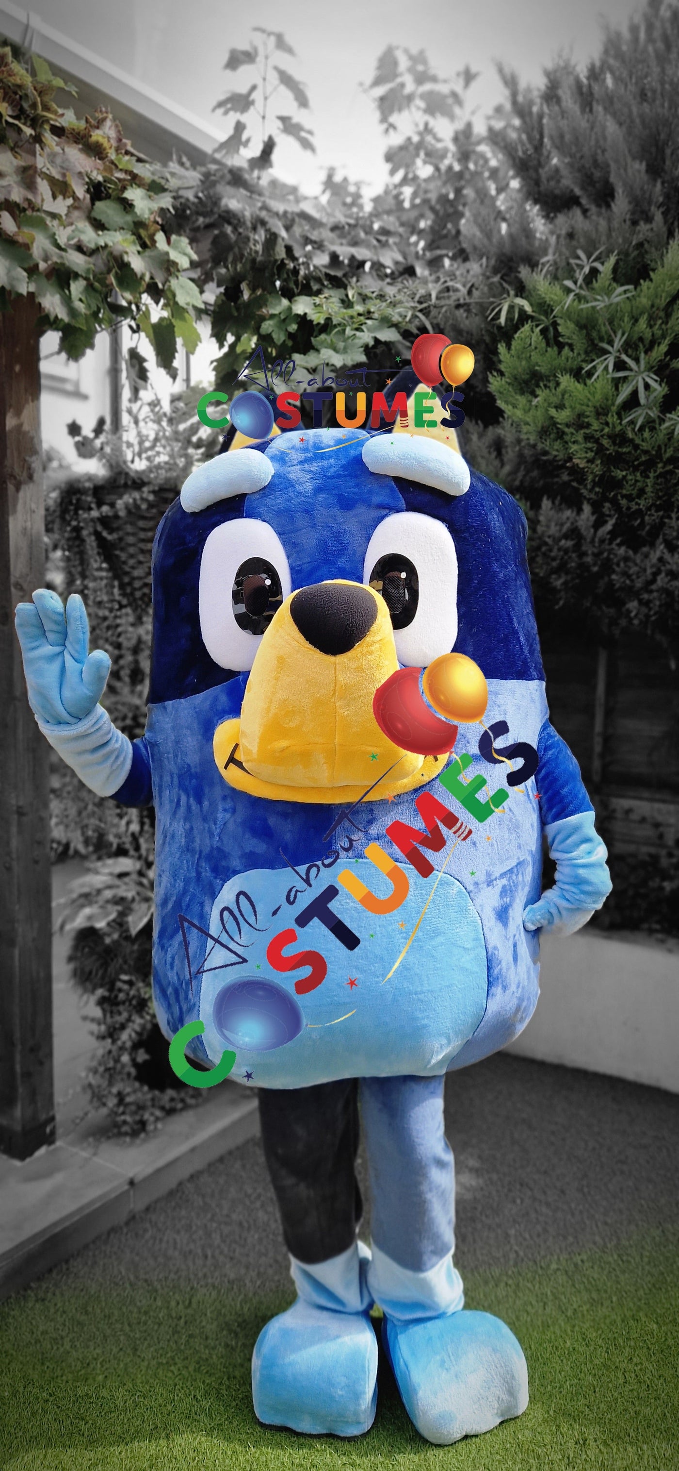 Bluey C costumes (All About Costumes)