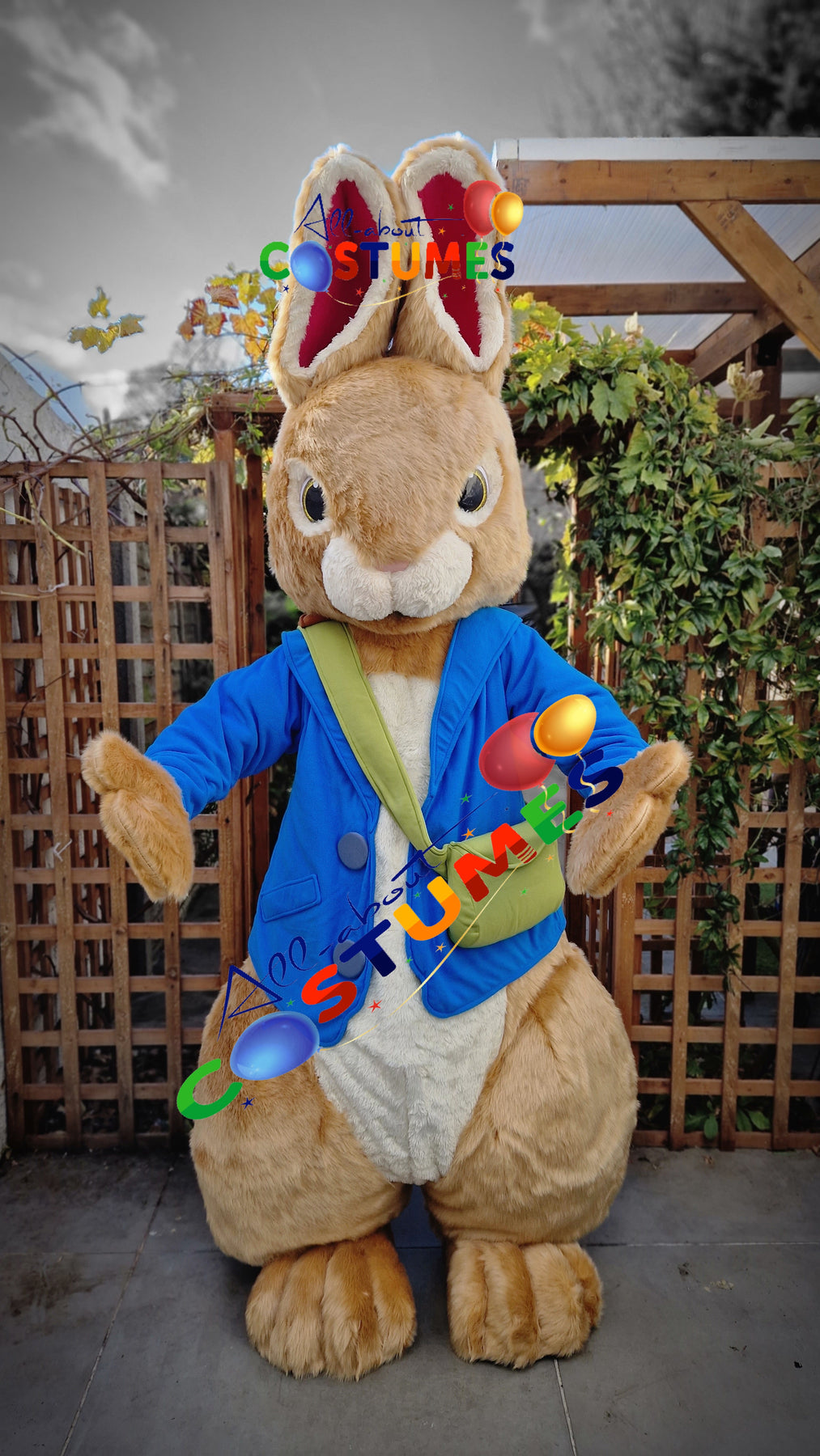 Peter Rabbit costumes (All About Costumes)