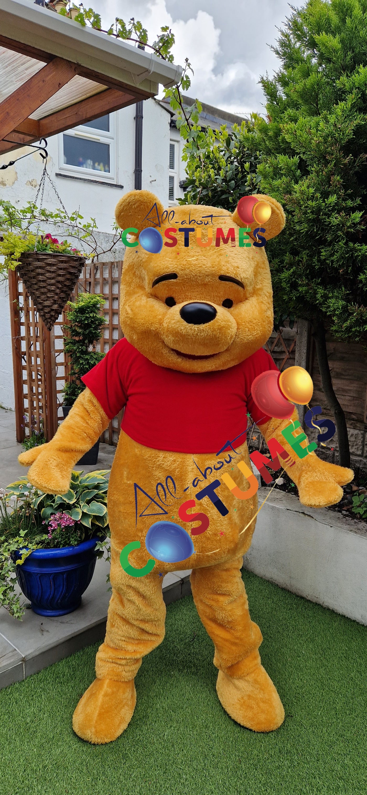 Winnie the Pooh Bear costumes (All About Costumes)
