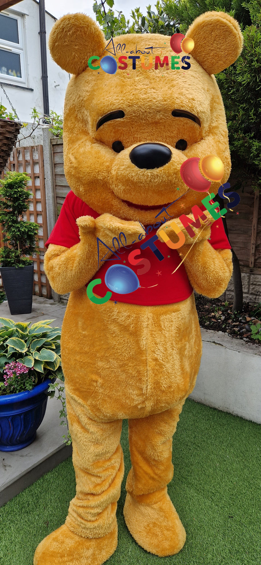 Winnie the Pooh Bear costumes (All About Costumes)