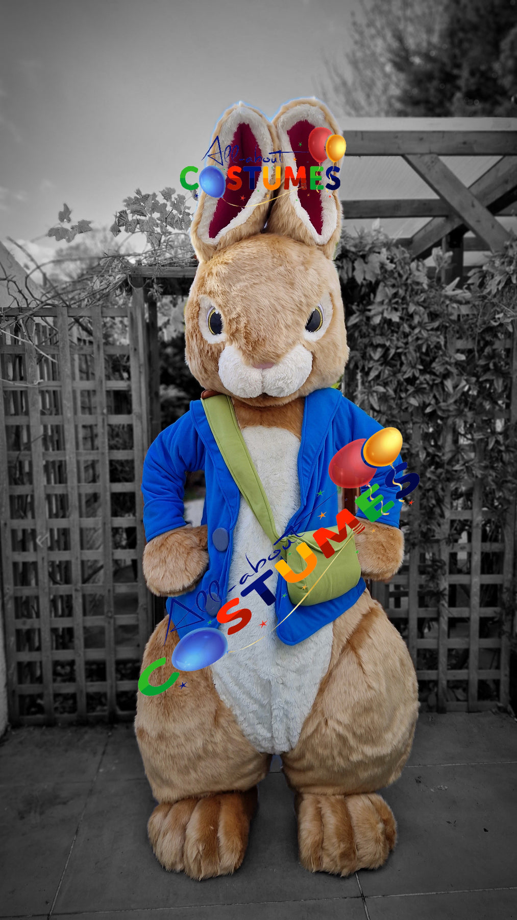 Peter Rabbit costumes (All About Costumes)