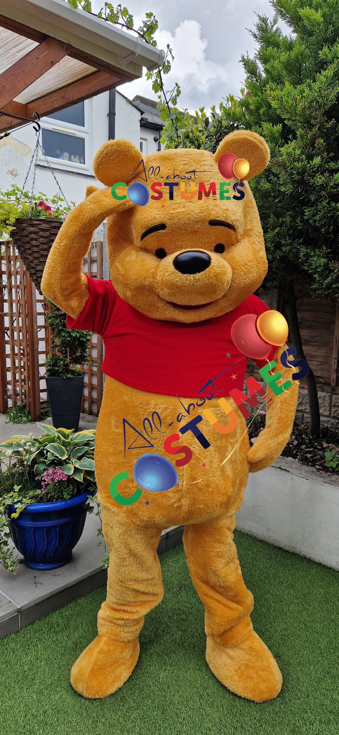 Winnie the Pooh Bear costumes (All About Costumes)