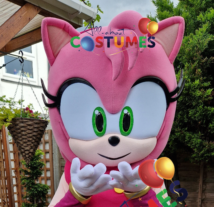 Amy Rose Sonic X (All About Costumes)