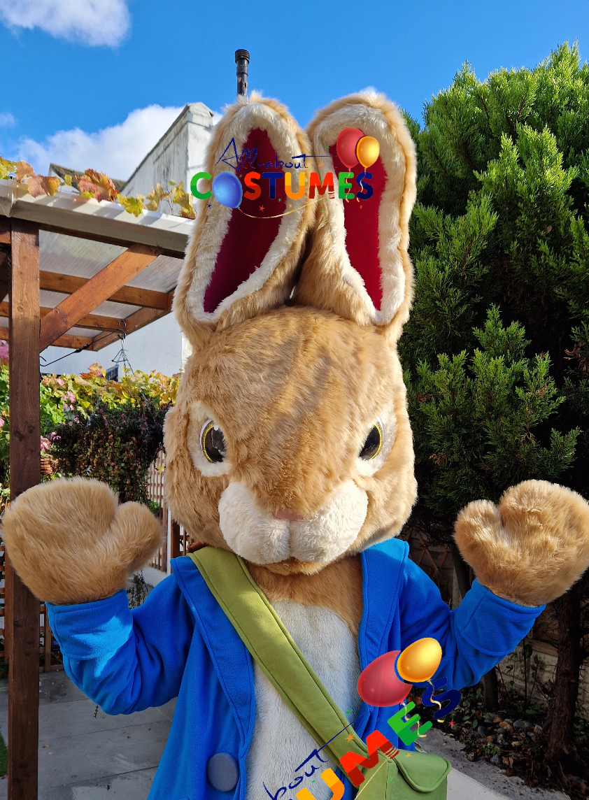 Peter Rabbit costumes (All About Costumes)